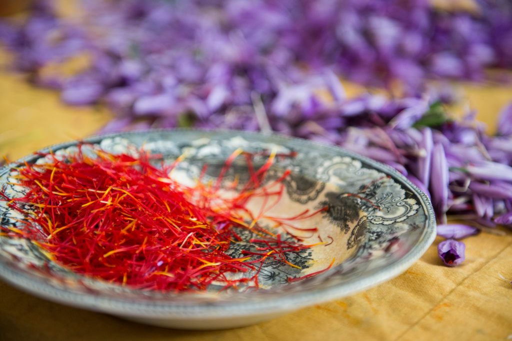 La monda de la rosa del azafrán. El proceso en el Blog de Aldonza